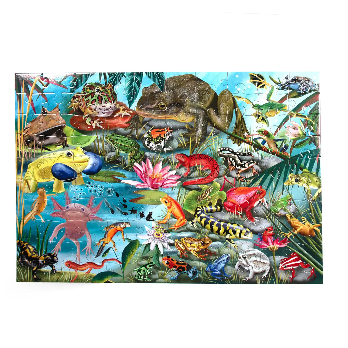 eeBoo 100 Piece Puzzle Love of Amphibians – Growing Tree Toys