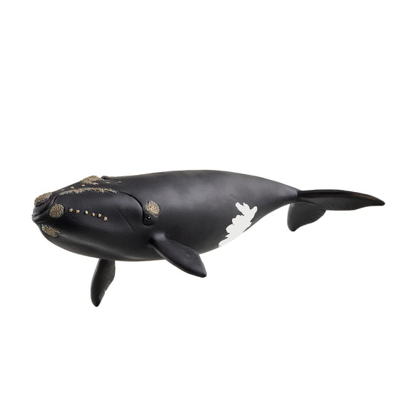 Schleich North Atlantic Right Whale – Growing Tree Toys