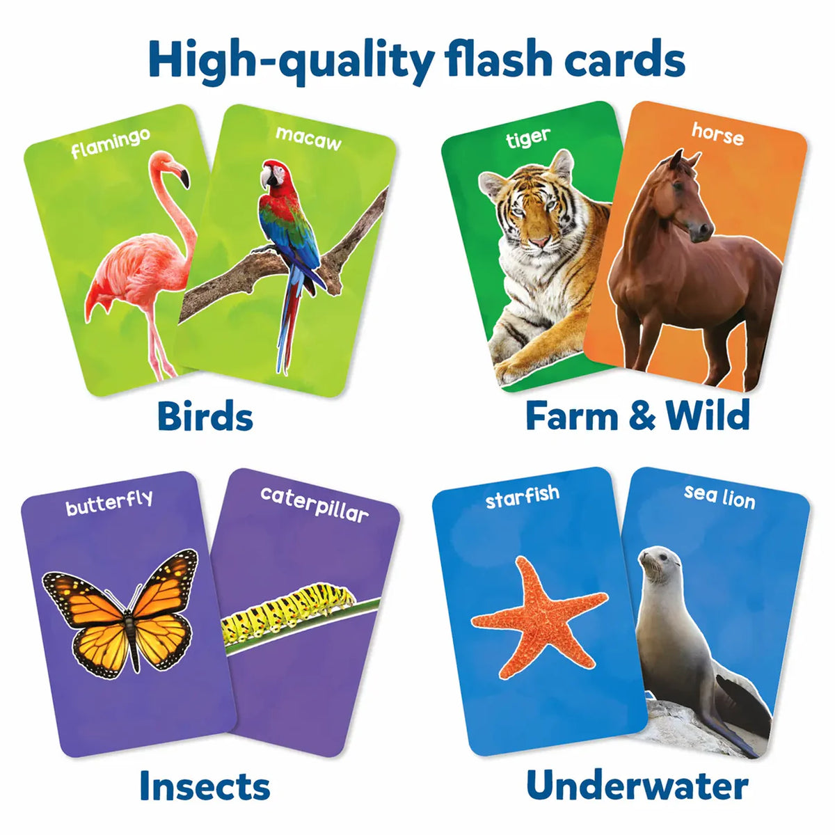 Skillmatics® Flash Cards: First 100 Animals – Growing Tree Toys