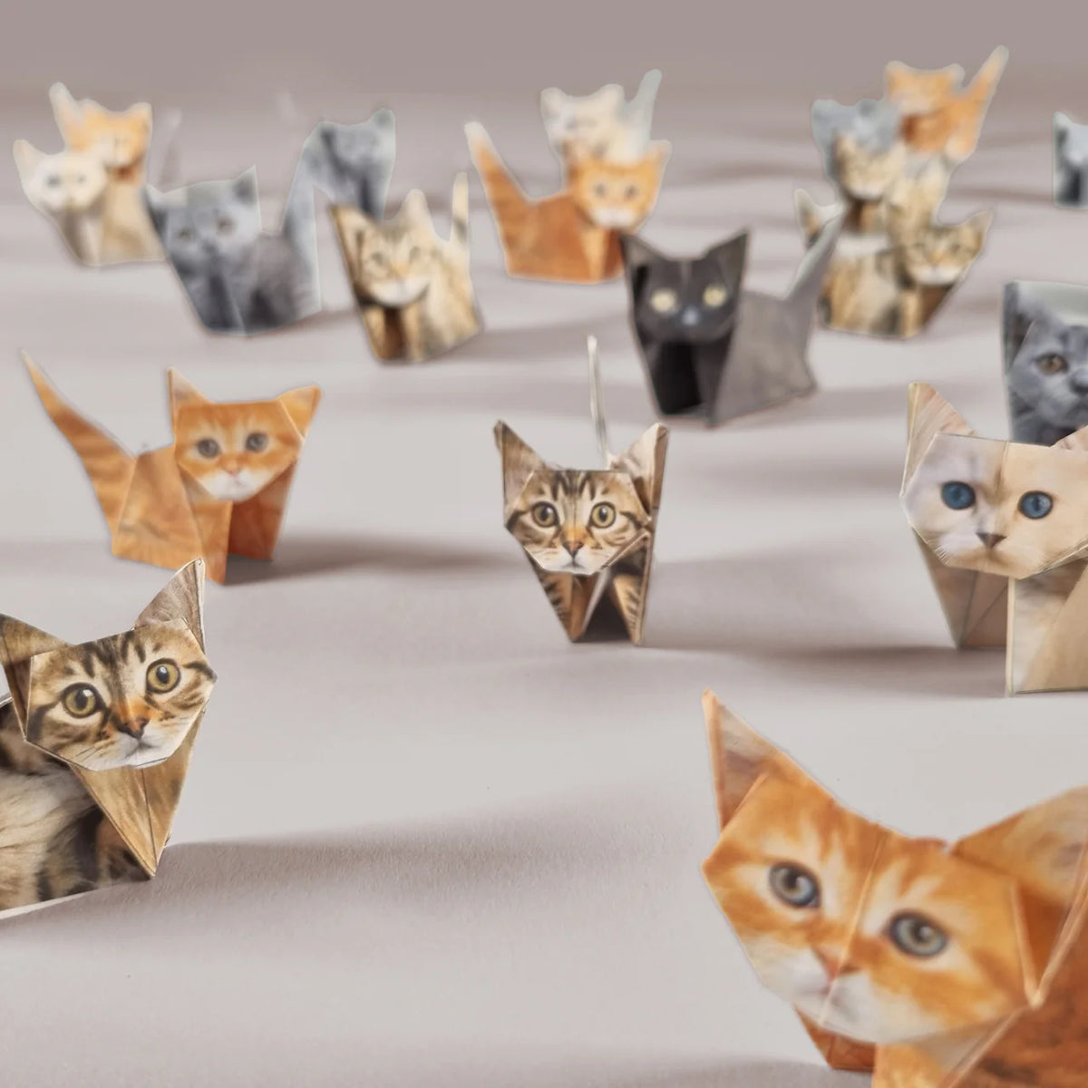 Pikki Origami Kit: Paper Cats – Growing Tree Toys