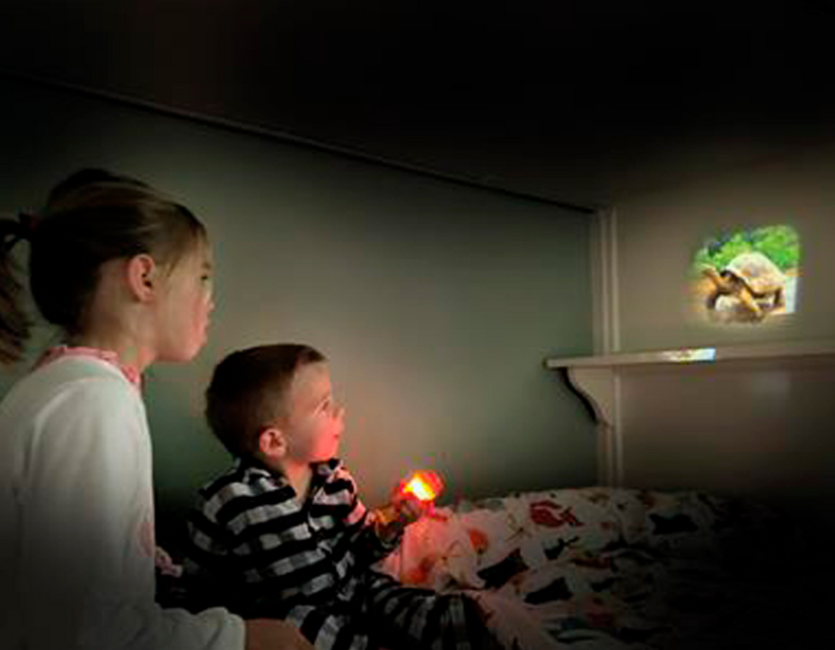 Torch & Projector: Wild Animals – Growing Tree Toys