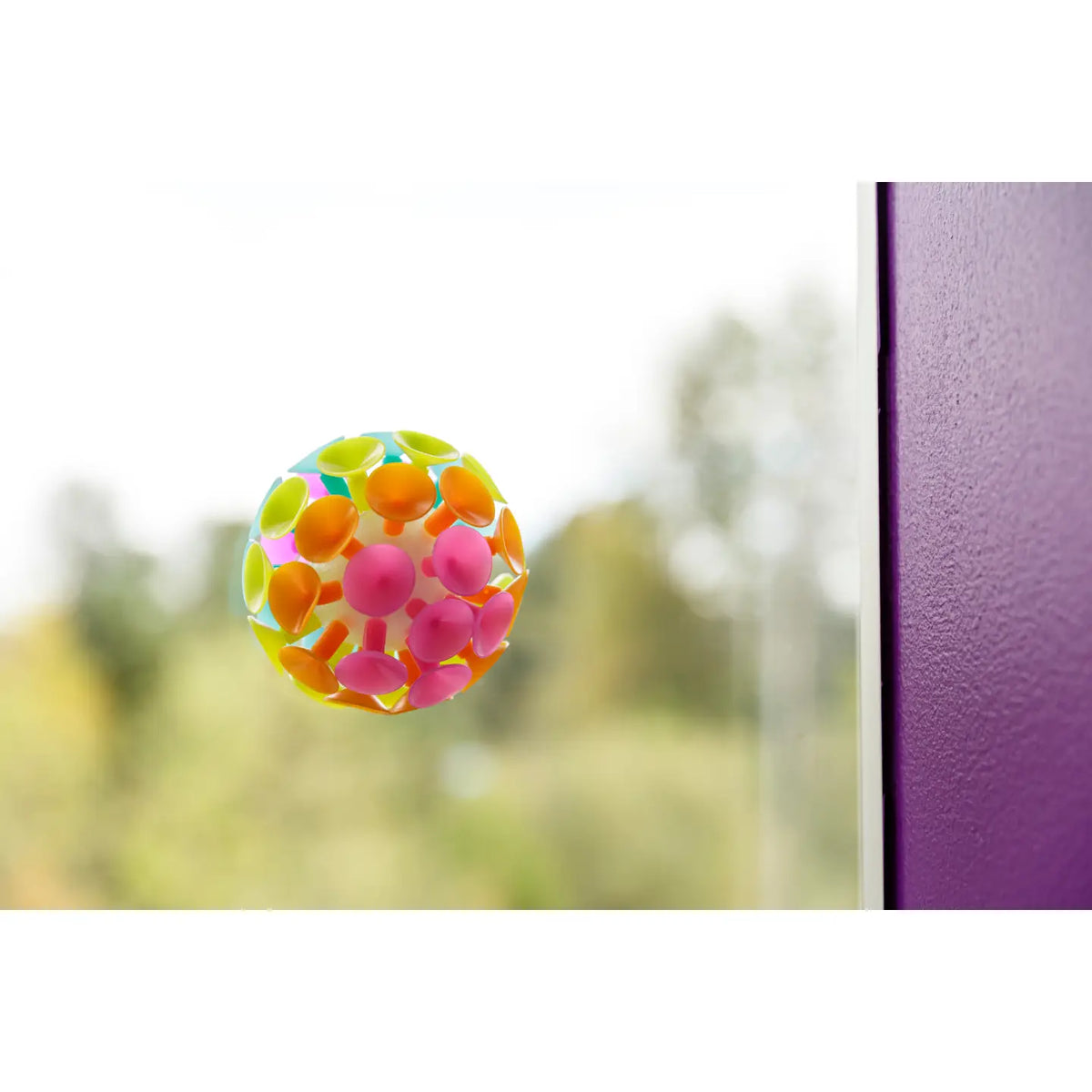 Toysmith Light Up Suction Ball – Growing Tree Toys