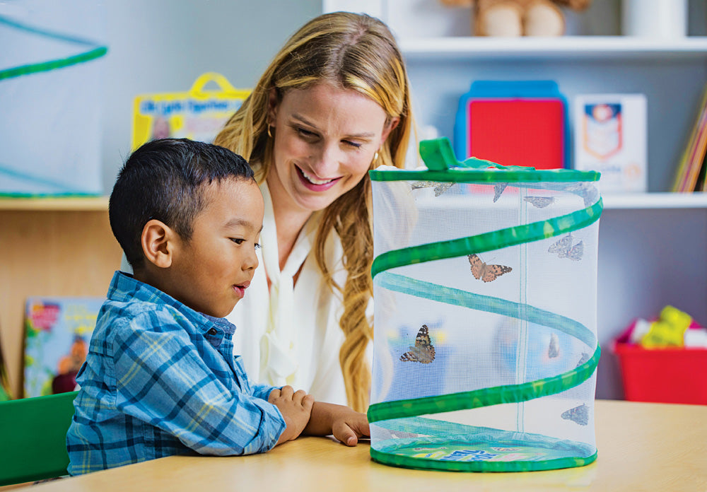 Insect Lore Butterfly Garden – Growing Tree Toys